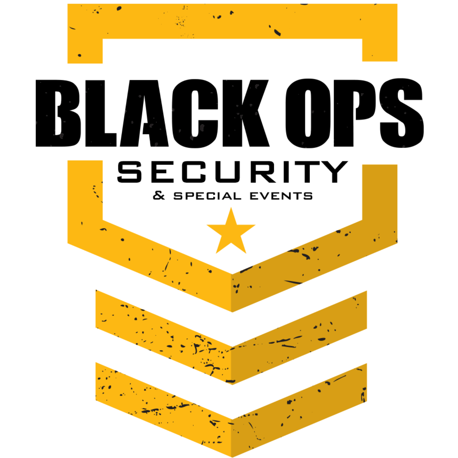 Home | Black Ops Security & Special Events LLC
